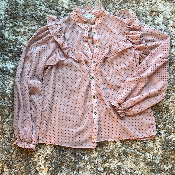 Zara | Tops | Zara Light Pink Ruffled Blouse With Burgundy Velvet Polka ...